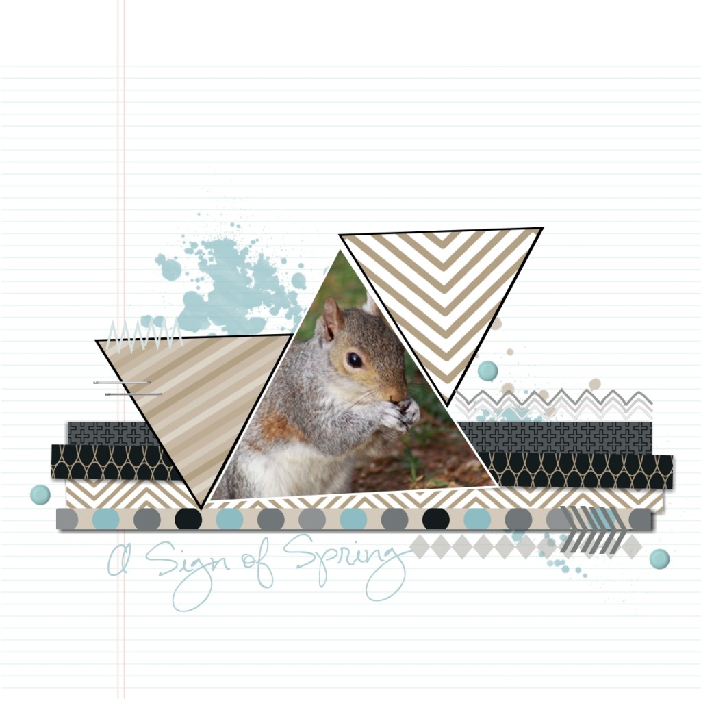 My Digital Studio Challenge- Photo Shapes